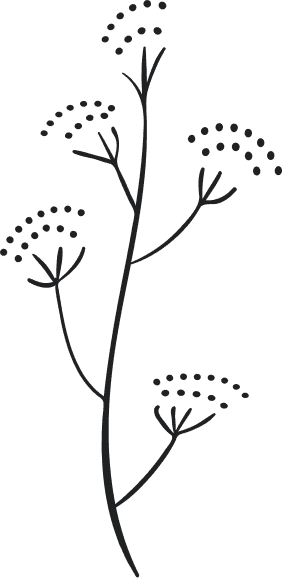 Welcome to Blooming House